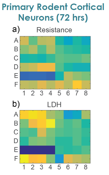 Multiplexed Cell Based Assay Of Neuronal Structure Function For